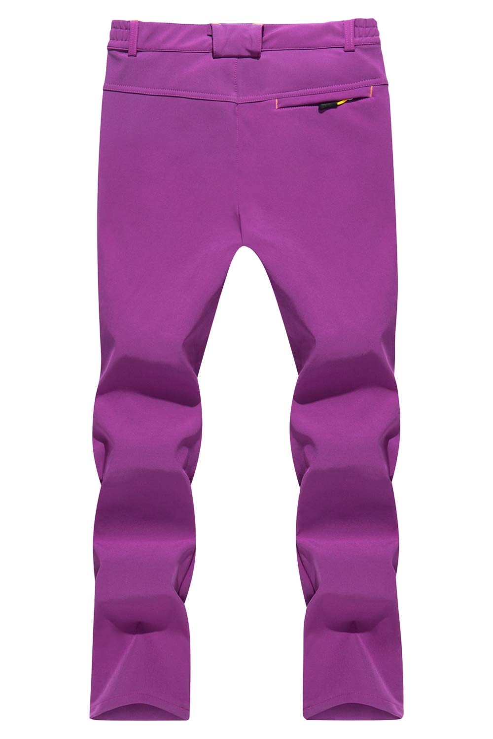 TACVASEN Women's Thicken Pants-Waterproof Snowboard Mountain Softshell Pants, Purple, 30