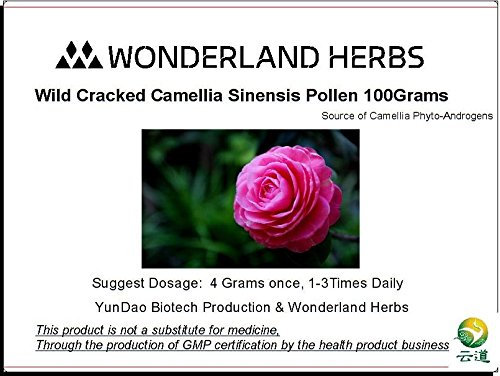 WonderLand Herbs Organic Cracked Cell Wall Wild Harvested Camellia Sinensis Pollen Powder 100 Grams (3.5 oz.) for Beauty