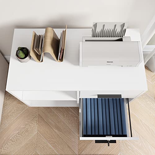 WAHEY File Cabinet, 2 Drawer Mobile Lateral Filing Cabinet with Open Storage Shelf, OLFC002