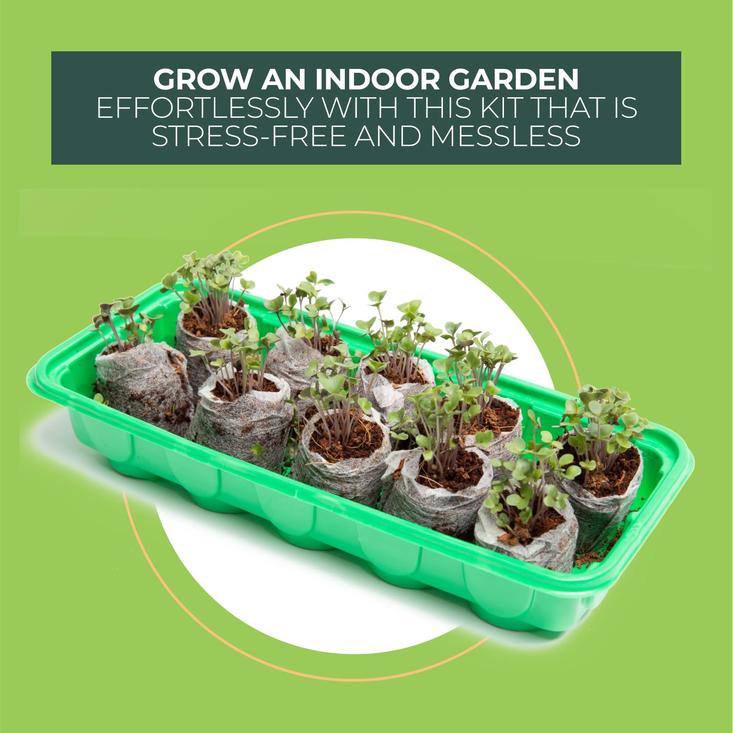 Window Garden Mini Greenhouse Seed Starter Kit β Reusable Seedling Trays - Indoor Germination Tray with Humidity Dome and Soil Pods - Windowsill Seeds Germinator - 30 Cells Starting Trays, 3 Pack