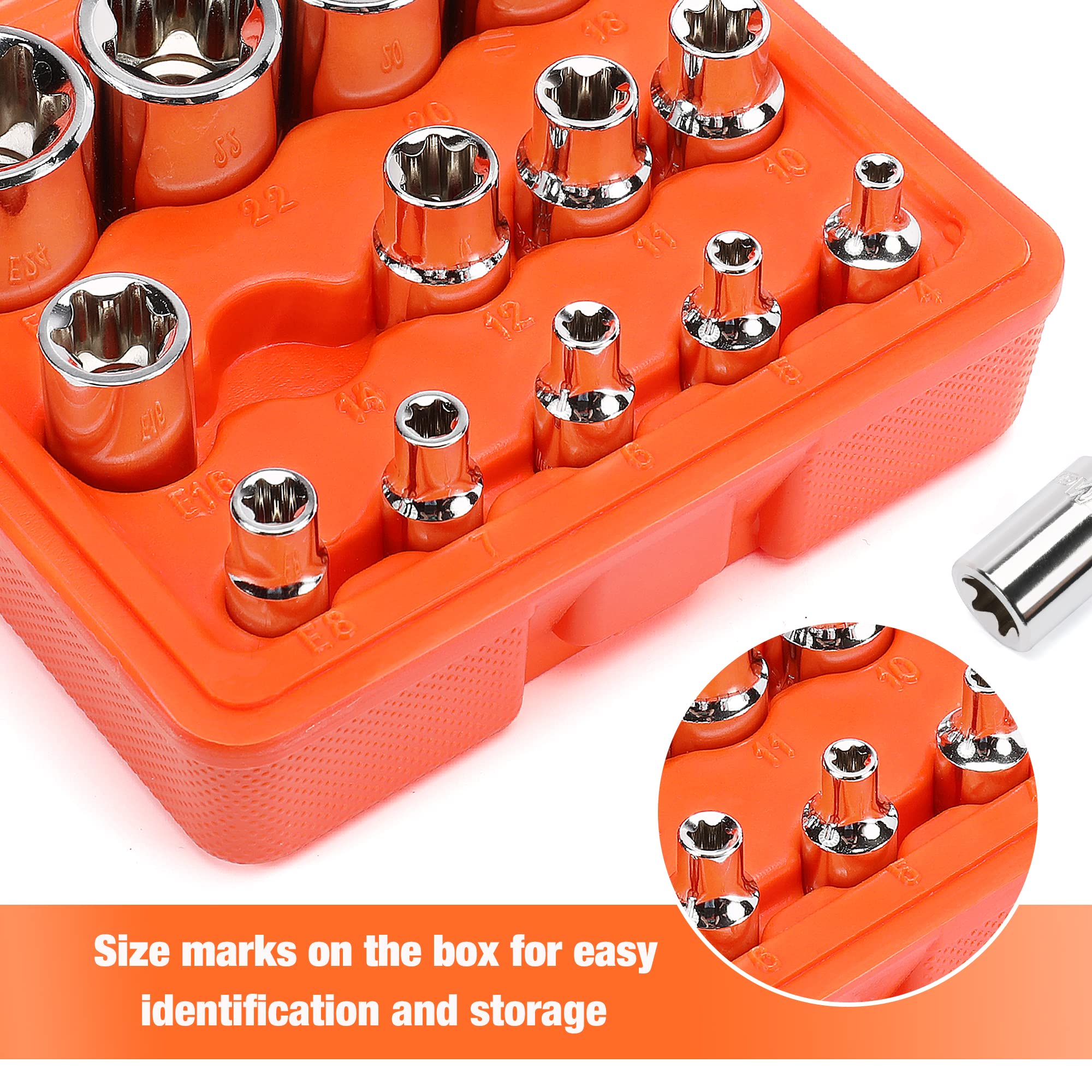 ValueMax 14-Piece Female E-Torx Star Socket Set, 1/4", 3/8" and 1/2" Drive, Female External Star Socket Set with Rail, E4-E24 Torque Socket Set, Cr-V Steel