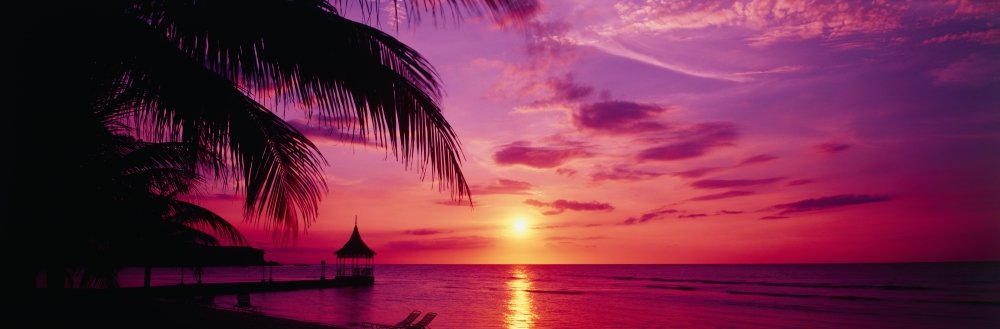 Sunset Palm Trees Beach Water Ocean Montego Bay Jamaica Poster Print (36 x 12)