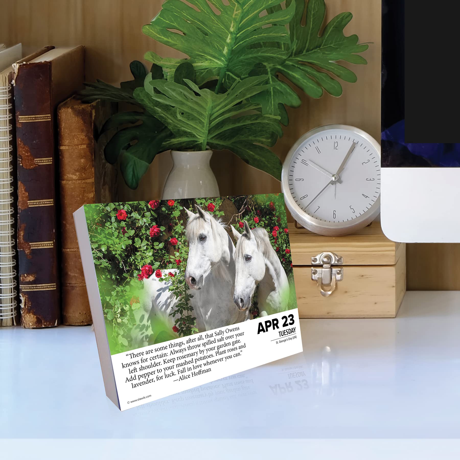 Willow Creek Press What Horses Teach Us Daily 2024 Box/Desk Calendar (5.86" x 4.72")