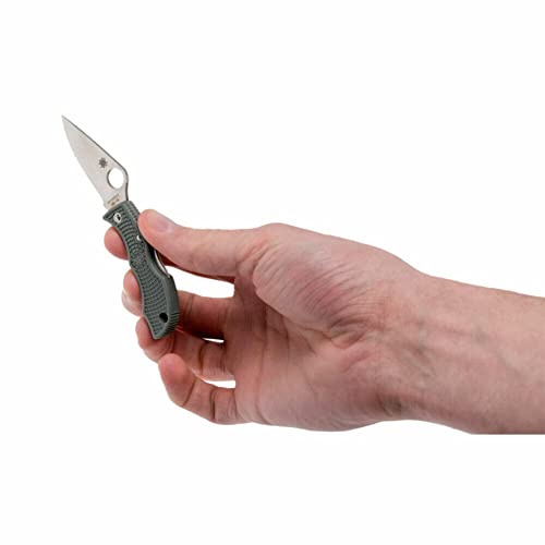 Spyderco Ladybug 3 Signature Knife with 1.9" VG-10 Steel Blade and Lightweight Foliage Green FRN Handle - PlainEdge - LFGP3