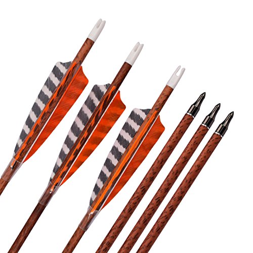 Turkey Feather Carbon Arrows Spine 400 Archery Arrows for Recurve Bow Screw in Tips 30 inch (12pcs)