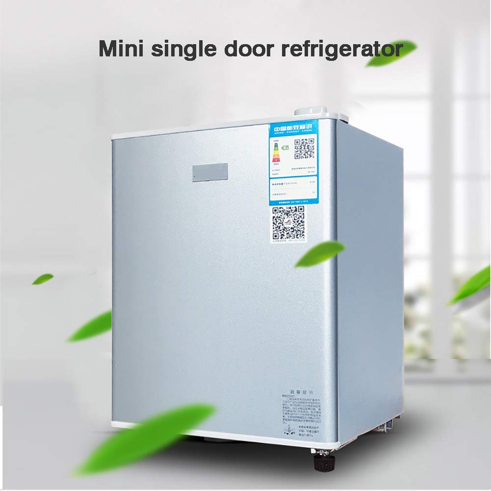 TOPYL Compact Refrigerators,50L Large Capacity Thermoelectric 220v Low Energy Small Fridge,Super Quiet Single Door Mini Fridge Silvery