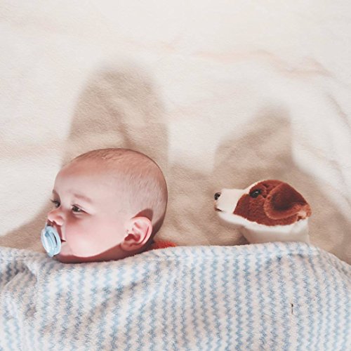 Tommee Tippee Every Day Pacifiers, Symmetrical Design, BPA-Free Silicone Binkies, 0-6m, 2-Count, Colors and Designs Vary