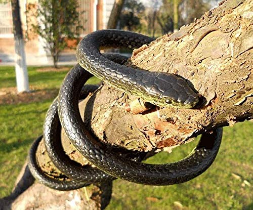 Yoogeer 47 Inches Rubber Lifelike Snakes Scary Gag Gift Incredible Creatures Chain Snakes Rain Forest Snake Toys Wild Life Snakes