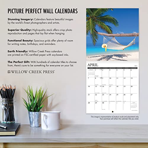 Willow Creek Press Black Labs Monthly 2024 Wall Calendar (12" x 12")