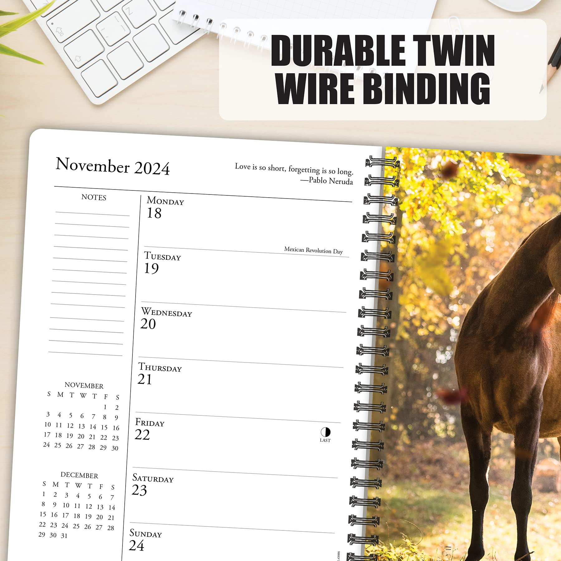 Willow Creek Press What Horses Teach Us Softcover Weekly Planner 2024 Spiral-Bound Engagement Calendar (6.5" x 8.5")