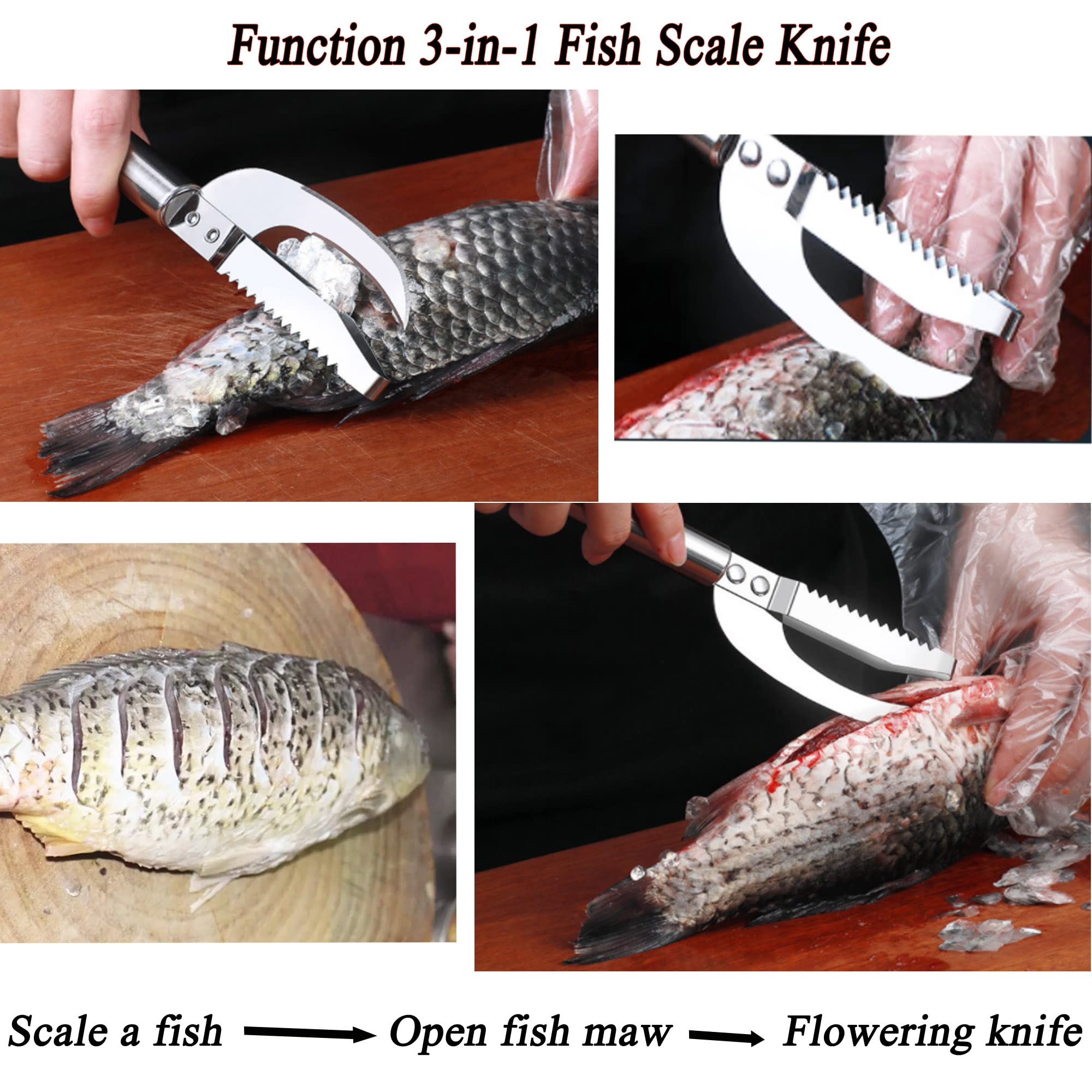 ZLMC Stainless Steel Fish Maw Knife, Multifunction Fish Scale Knife fish scale remover Household Kitchen Fish Scale Tool