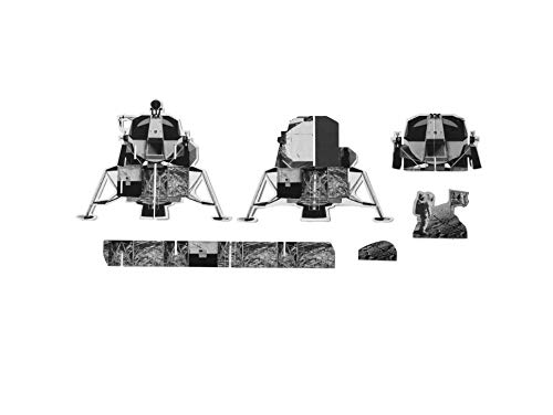 To the Moon and Back: My Apollo 11 Adventure