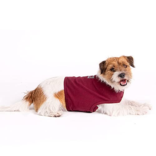 YEPETS Anti-Stress Suit for Dogs. 95% Cotton Relaxing and Calming Jacket (X-Small, Midnight Black)