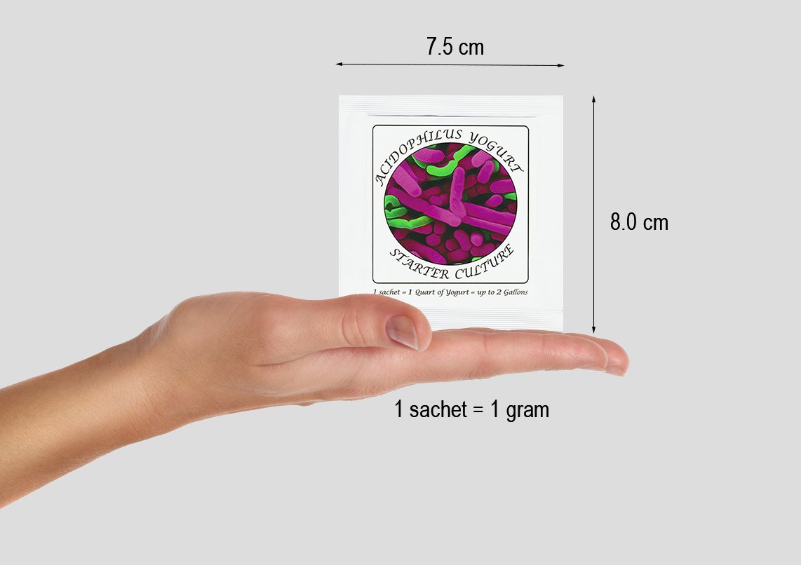 Yogurt Starter Cultures - Pack of 3 Freeze-dried Culture Sachets for Acidophilus Yogurt