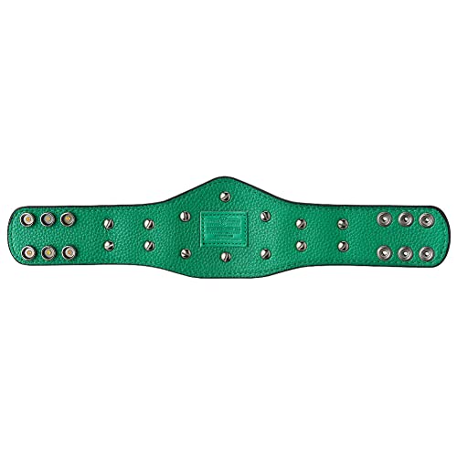 WWE Authentic Wear European Championship Mini Replica Title Belt Multi