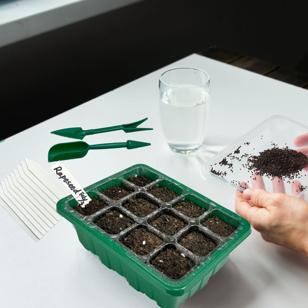 suphanlin 12-Cell Plant Germination Tray with Dome 10-Pack, Humidity Adjustable Seed Starter Tray Kit for Vegetable & Flower Plants Seedling Garden Planting