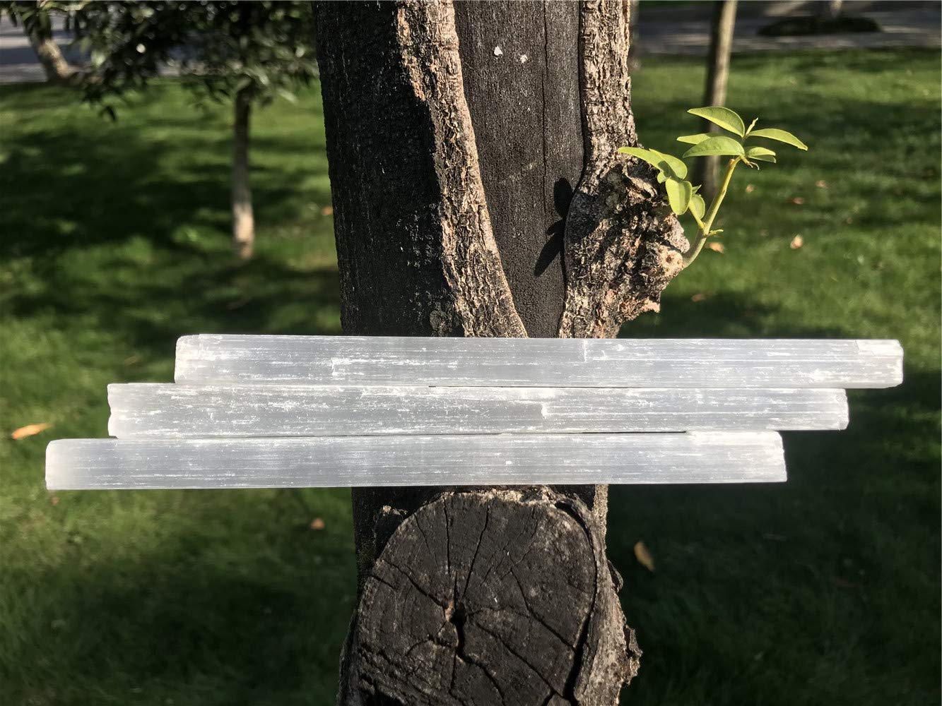 Zenkeeper Selenite Sticks Large 3 Pcs, Natural Selenite Rough Crystal Wands for Reiki Chakra Good Luck Protection and Healing Home Decor