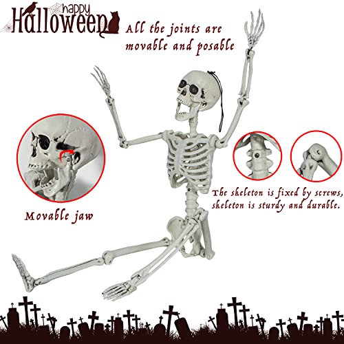 XONOR 3ft Halloween Skeleton Realistic Human Plastic Full Body Skeleton with Movable Joints for Haunted House Props Decorations