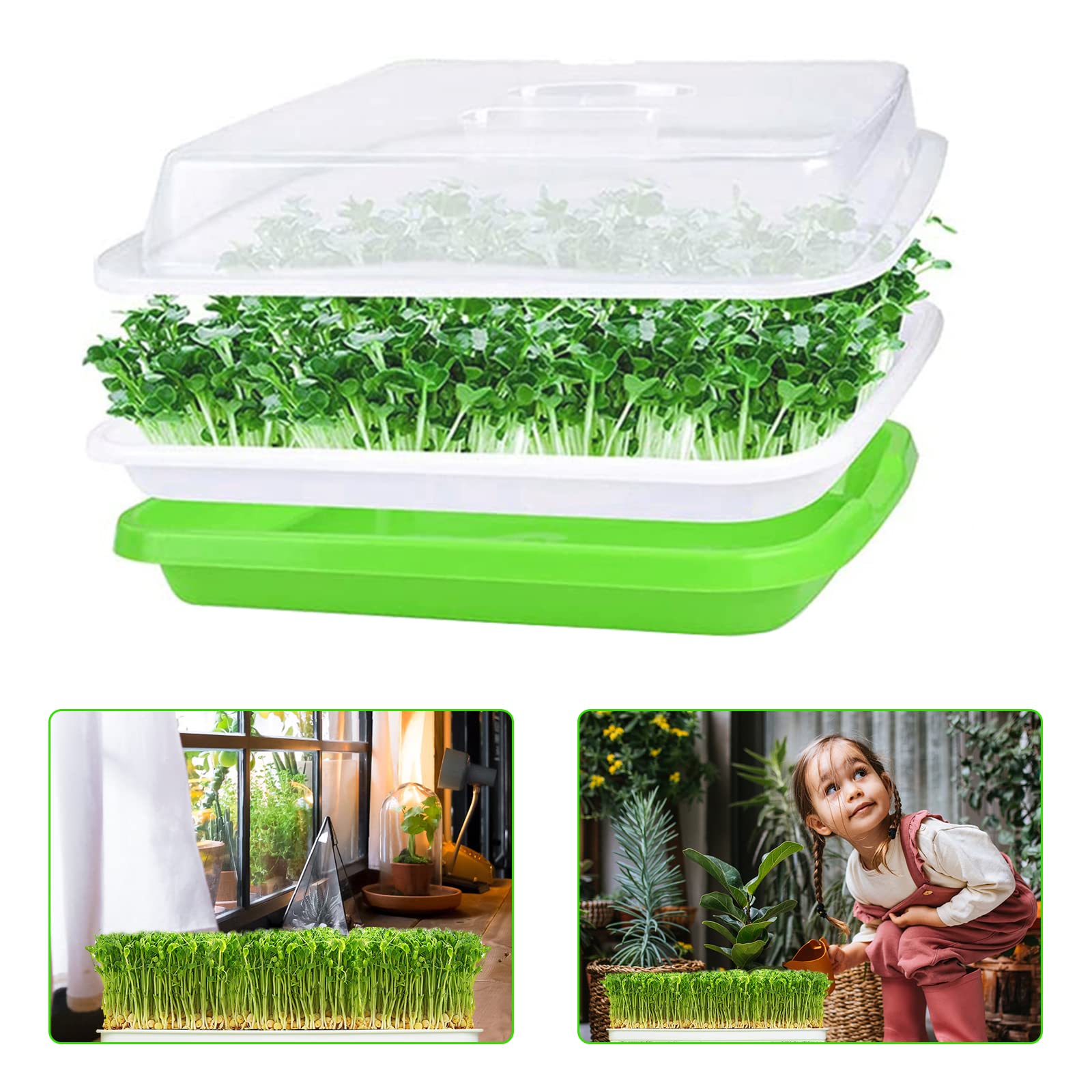 Senwow Seed Sprouter Tray with Lid 6 Pack, BPA Free Nursery Tray Seed Germination Tray Healthy Wheatgrass Seeds Grower & Storage Trays for Garden Home Office