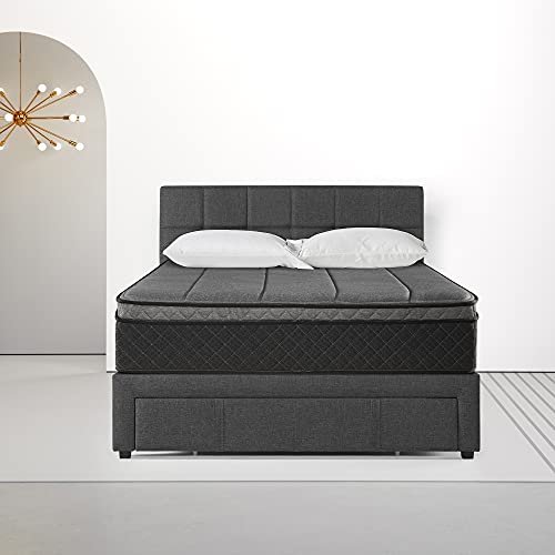 Zinus 12 Inch Euro Top Pocket Spring Hybrid Mattress/Pocket Innersprings for Motion Isolation/Bed-in-a-Box, Queen