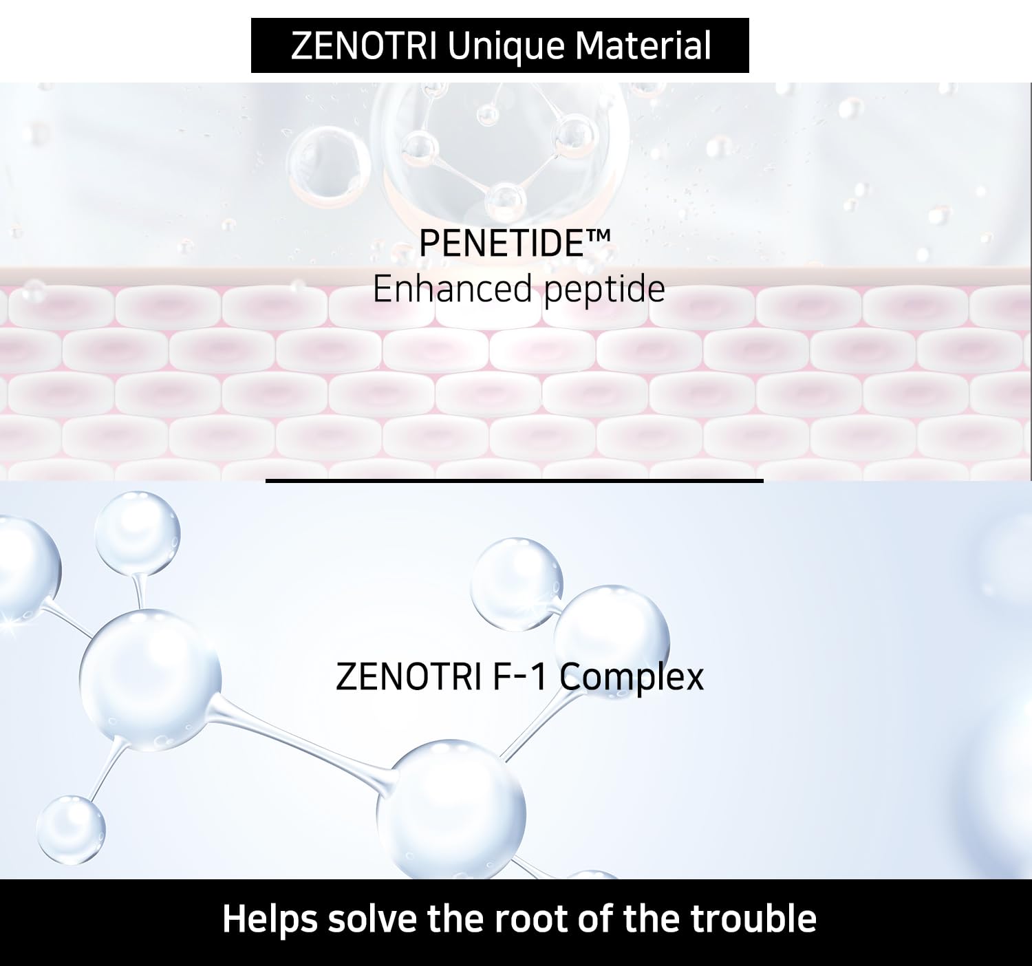 ZENOTRI Follicle Shampoo Hair loss Zero with Copper peptide, Biotin, Dexpanthenol, Pyrithione Zinc/Genetic Hair Care Solution