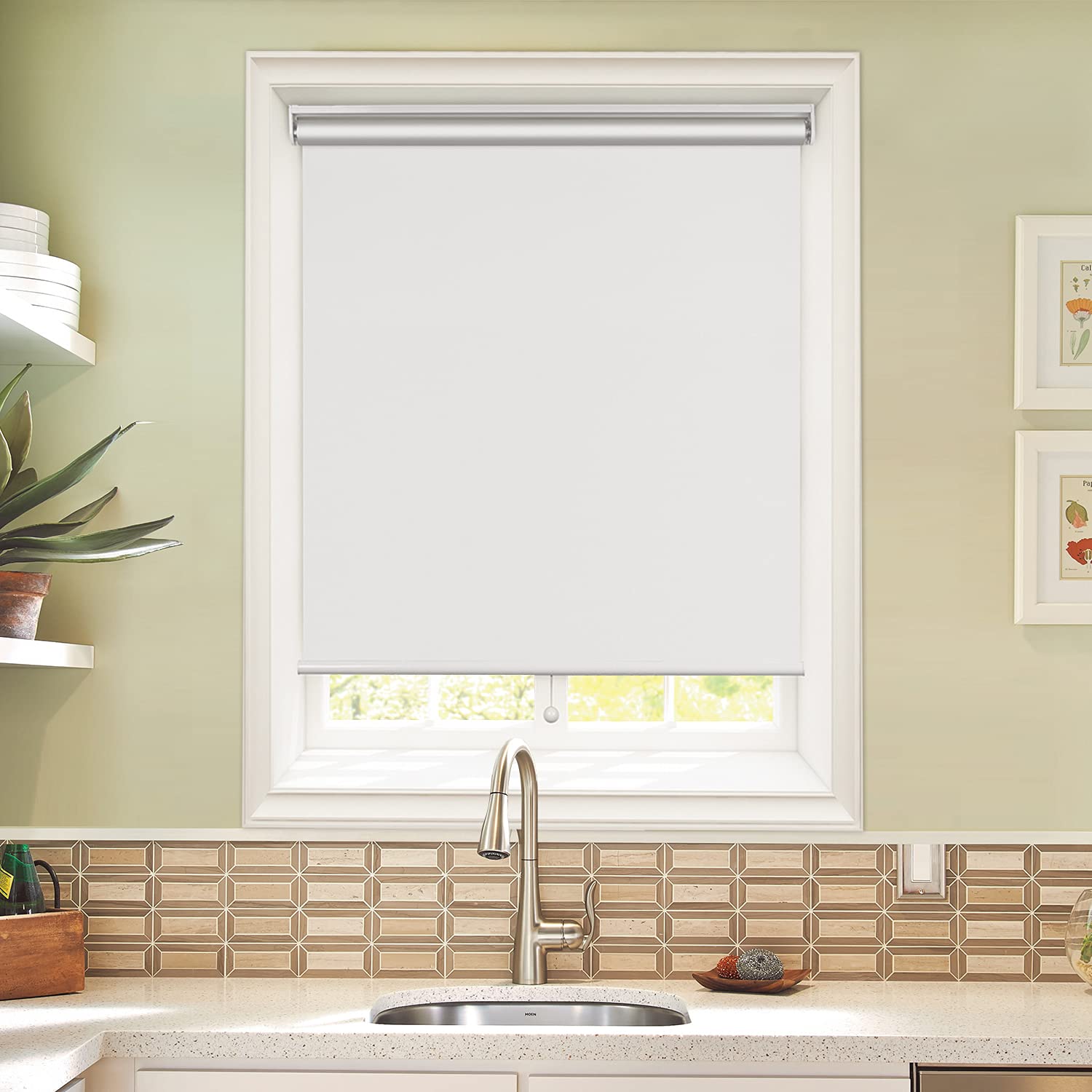 TFSKY Blackout Roller Shade Window Blinds - White, 39 x 72 Inch- Black Out 100% Light & UV, Thermal, Cordless and Easy to Pull Down & Up