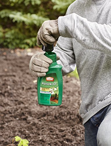 The Scotts Ortho Max Poison Ivy Tough Brush Killer, 32-Ounce