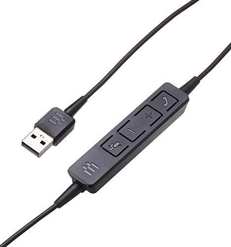 Sennheiser SC 160 USB (508315) - Double-Sided (Binaural) Headset for Business Professionals | with HD Stereo Sound, Noise Canceling Microphone, & USB Connector (Black), Black