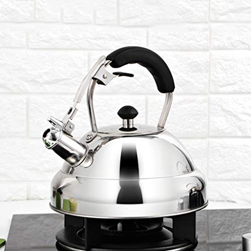 ZNZN Stove Kettle Large Capacity Kettle-Creative Silver Food Grade Stainless Steel Teapot with Ergonomic Handle (2.6L,87.9OZ) Multifunctional Water Kettle
