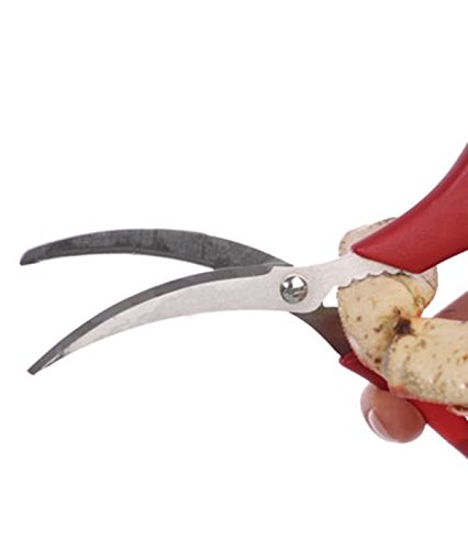 Starfrit Shellfish Shears, Red