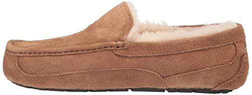 UGG Men's Ascot Slipper, Chestnut, 11
