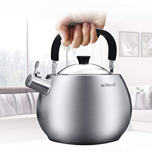 ZNZN Creative Silver Kettle Whistling Kettle-Stylish Stainless Steel Teapot with Ergonomic Anti-Scald Handle (4.5L, 152.1OZ) Multifunctional Water Kettle