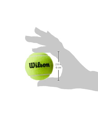 WILSON Sporting Goods WILSON Pressureless Tennis Balls - 18 Ball Bag, original version (WRT1323)