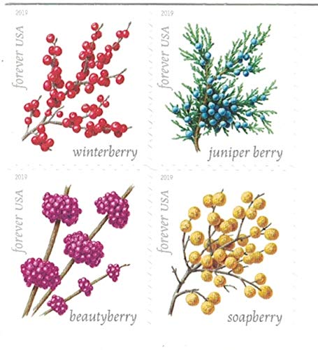 Winter Berries Book of 20 First Class US Postage Stamps Wedding Celebrate Engagement (20 Stamps)