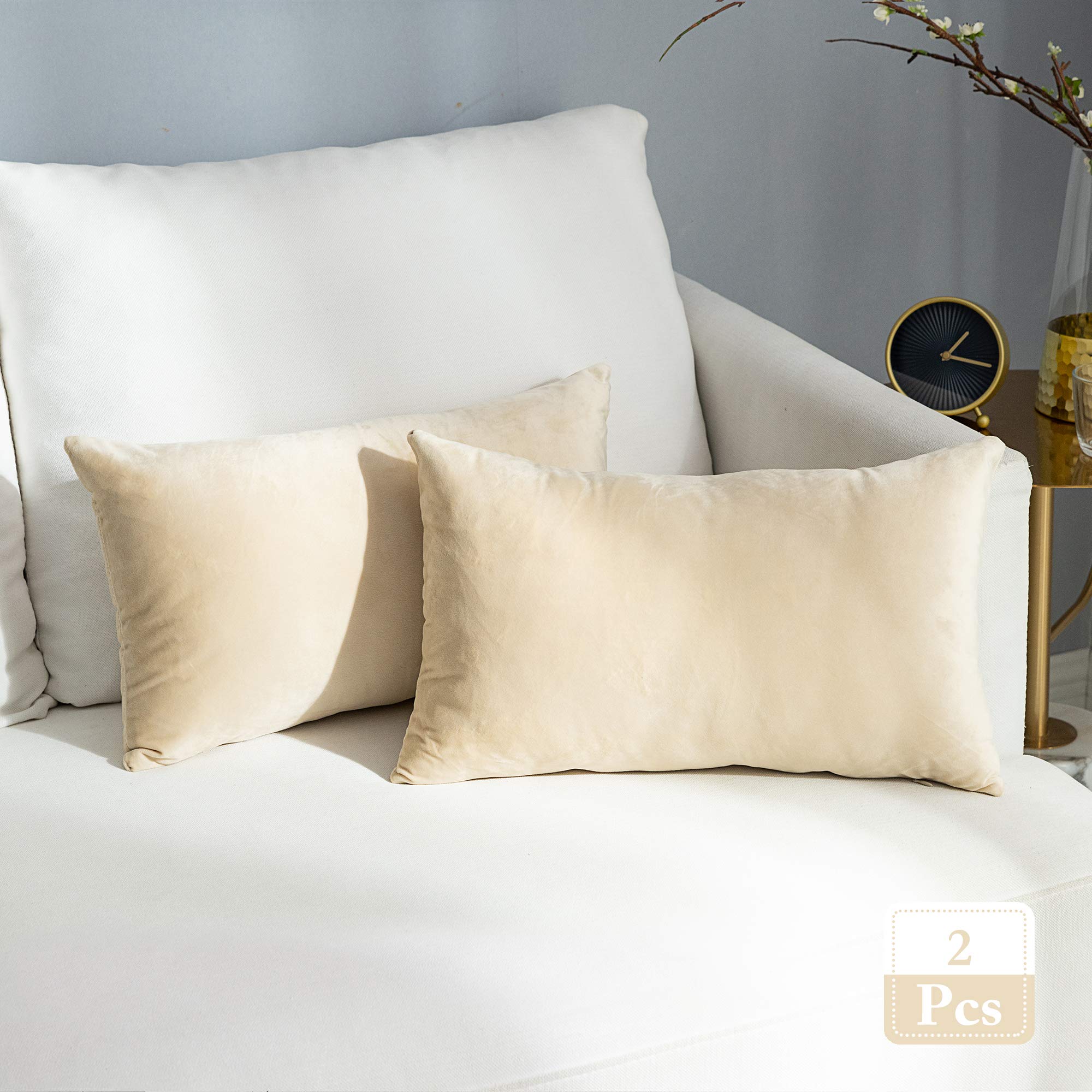 Stellhome Pack of 2 Super Soft Throw Pillow Covers Rectangle Solid Velvet Pillowcase for Bed Couch Sofa Bench, 12 x 20 inch (30 x 50 cm), Beige