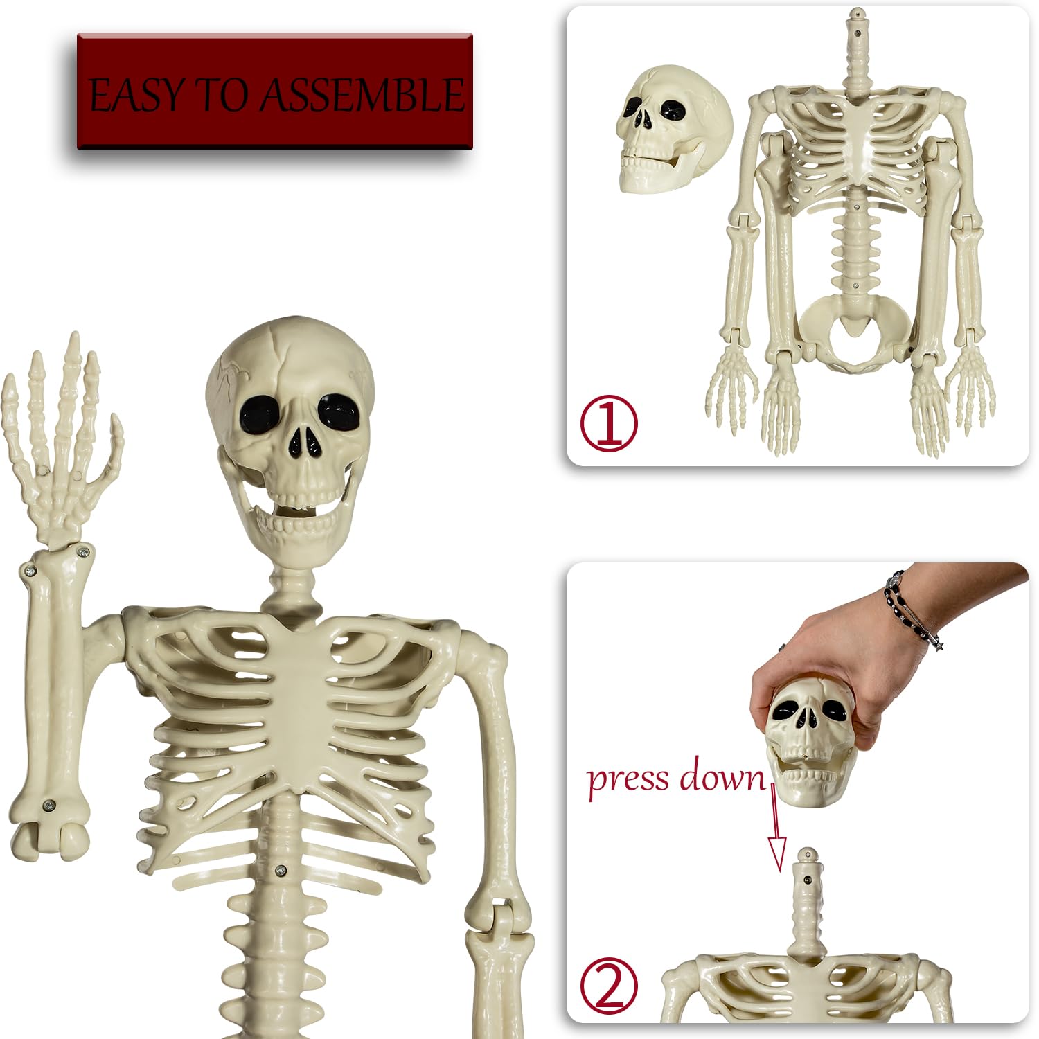 XONOR Halloween Skeleton Full Body Posable Joints , 3ft Human Skeleton Decorations for Party Haunted House Supplies (1pc)