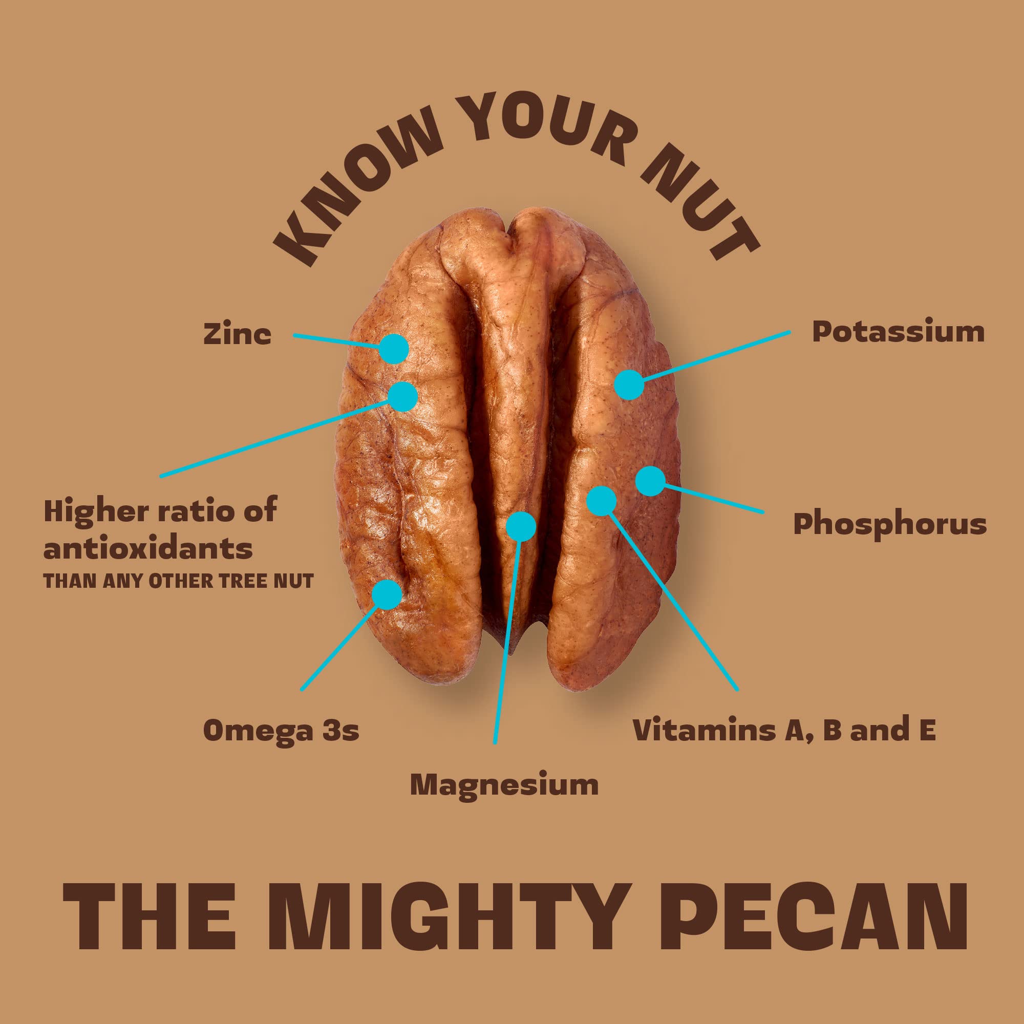 THIS PKN Pecan Nut Milk Chocolate Non Dairy Milk Alternative, Made from Real Texas Pecans, Plant Based Chocolate Milk, Made Without Added Sugars and No GMOs or Lactose (32oz, Pack of 6)