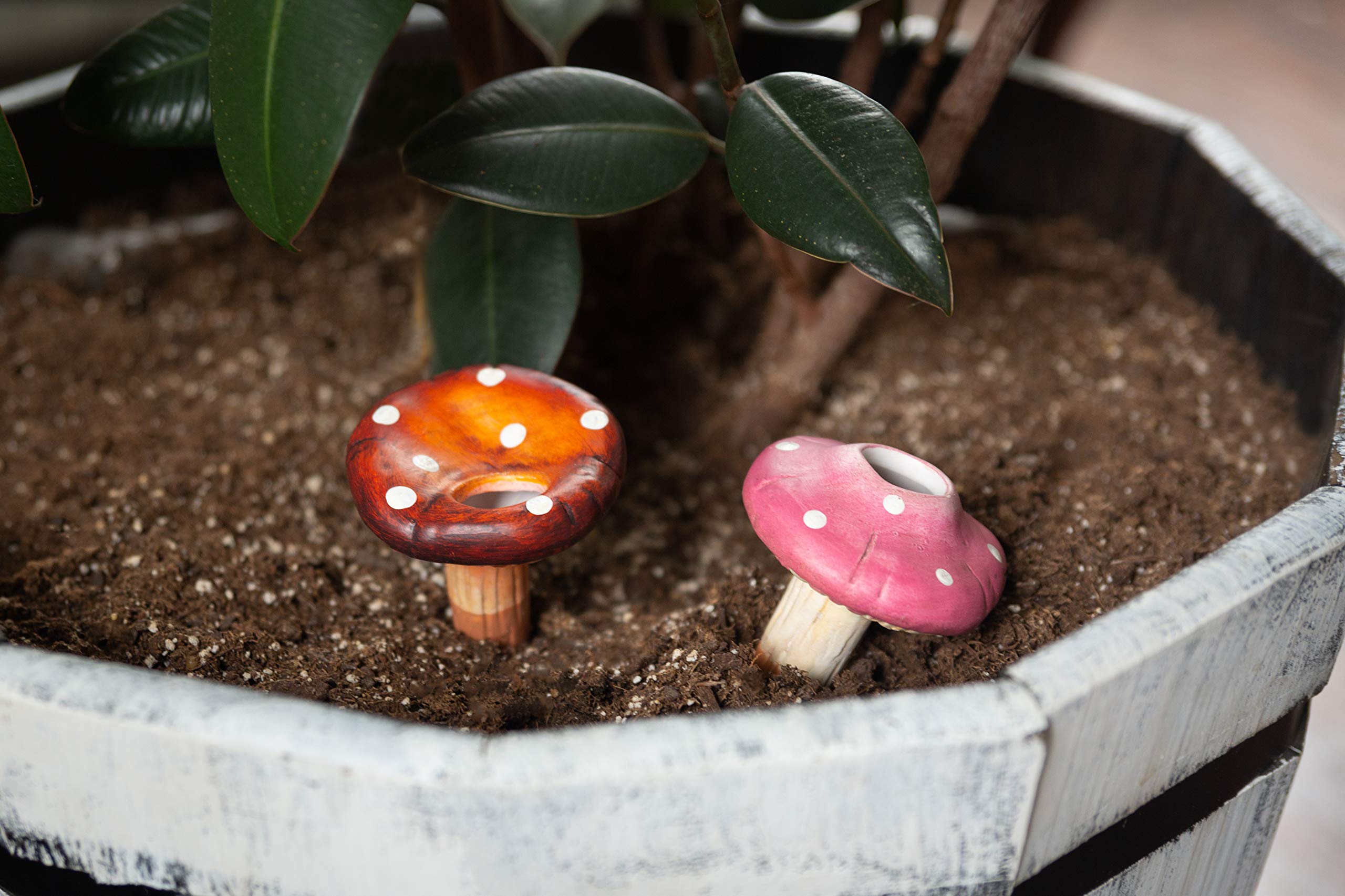 VYV Wellness LLC Self-Watering Terracotta Mushroom Planters - Automatic Plant Waterers for Potted & Hanging Plants - 6 Pack