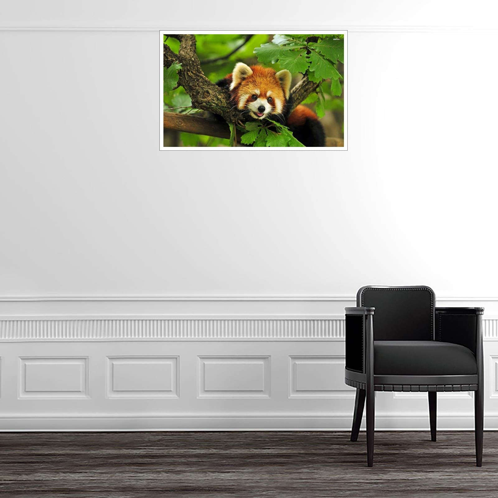 Ymqewq Red Panda Prints Wall Art Animal Canvas Pictures Photography Poster Print Kids Room Decor Unframed13 x8
