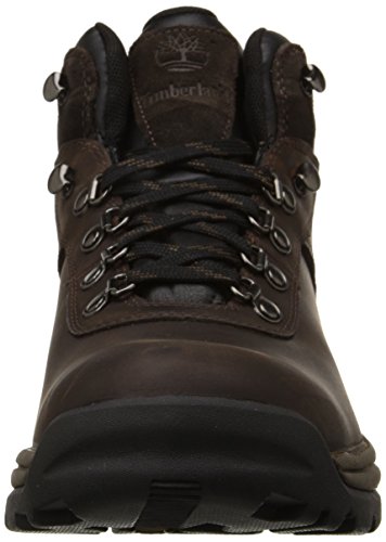 Timberland mens Flume Mid Waterproof Hiking Boot, Dark Brown, 8.5 US