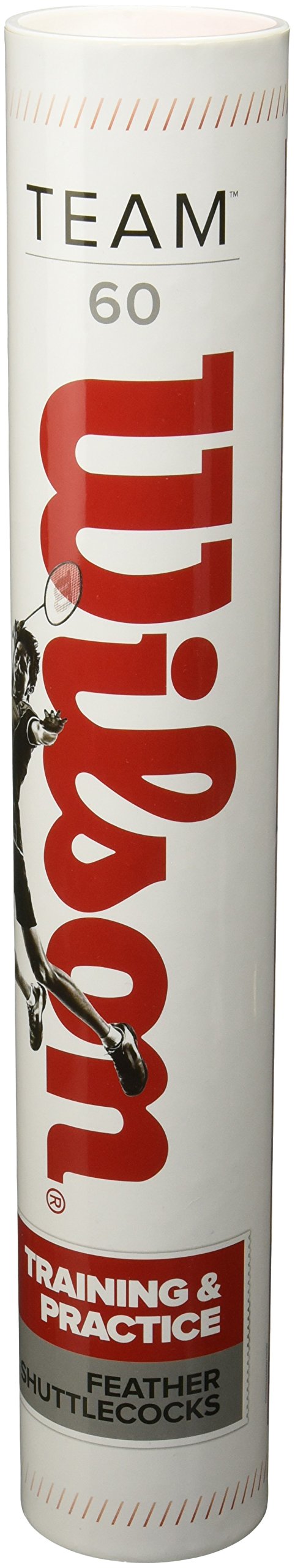 Wilson Team 60 Shuttlecocks - 12 Pack Tube