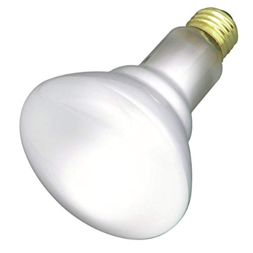 Satco Products S2817 120-Volt 65BR30 Flood Light Bulb, 2-Pack