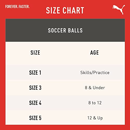 teamFINAL 21.2 FIFA Quality Pro Soccer Ball,1 pc