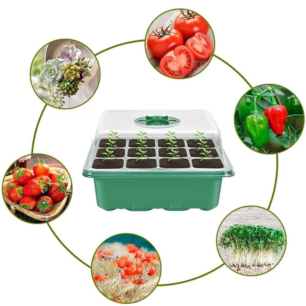 YOOAEFRTY Seed Starter Tray with Grow Light, 3-Pack Seed Starter Kit Indoor Gardening Plant Germination Set with Humidity Dome and Base for Seeds Growing Starting (12 Cells per Tray)