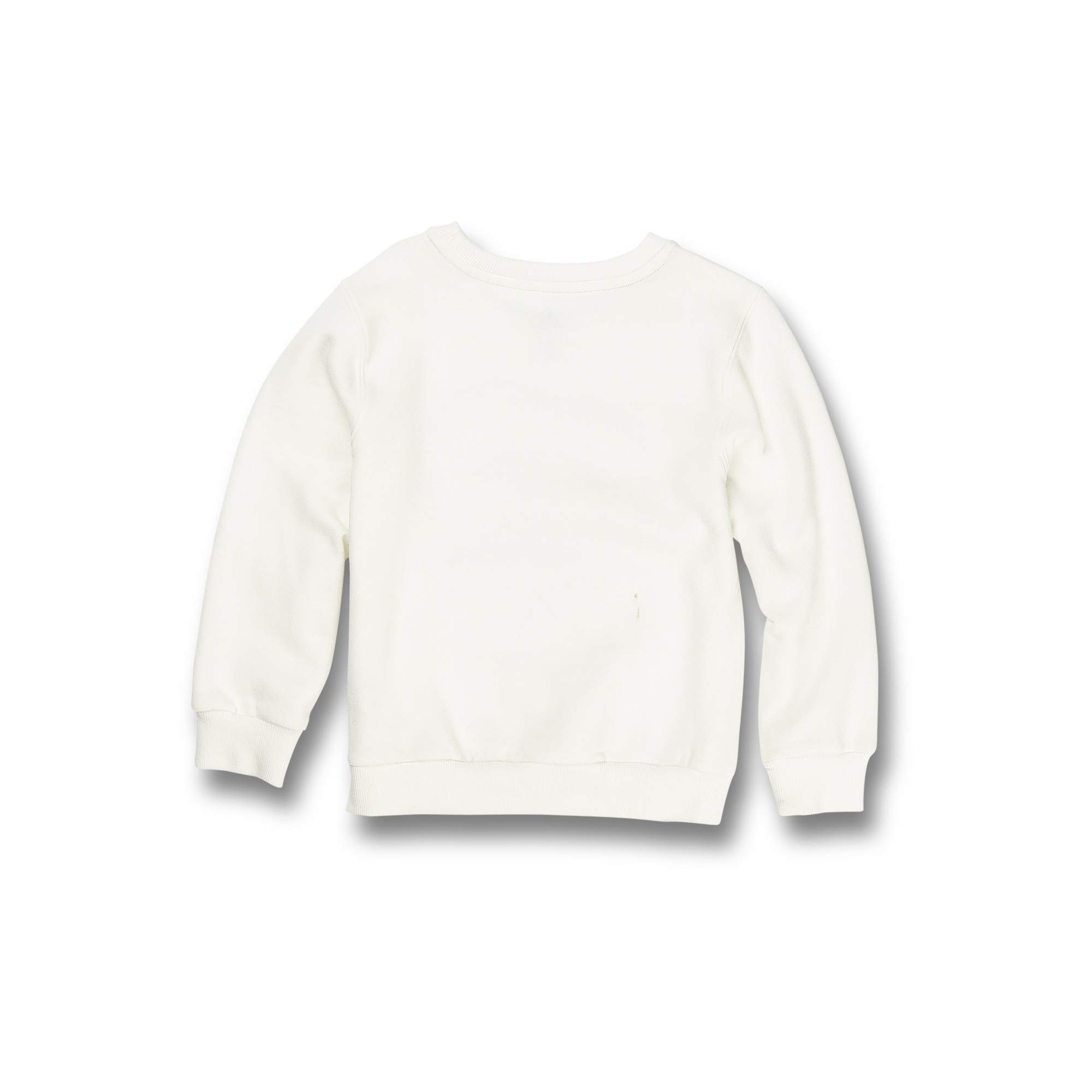 Volcom Girls' Darting Traffic Crew Fleece Sweatshirt, Mist, 6X