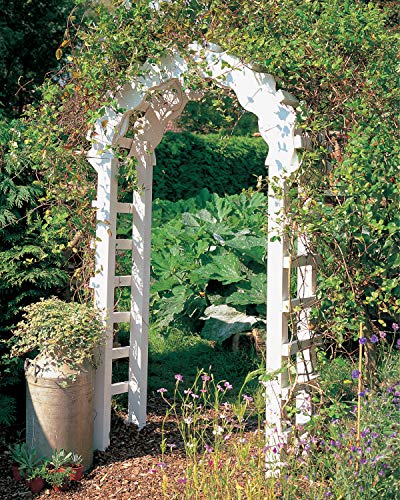 Woodworking for the Garden: 16 Easy-to-Build Step-by-Step Projects (Creative Homeowner) Easy-to-Follow Instructions for Trellises, Planters, Decking, Fences, Chairs, Tables, Sheds, Pergolas, and More