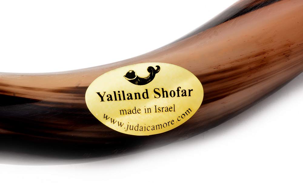 Yemenite Kudu Horn Shofar Shofars with Free Anti Odor Spray, guide Shofar from Israel (26"-28", Polish)