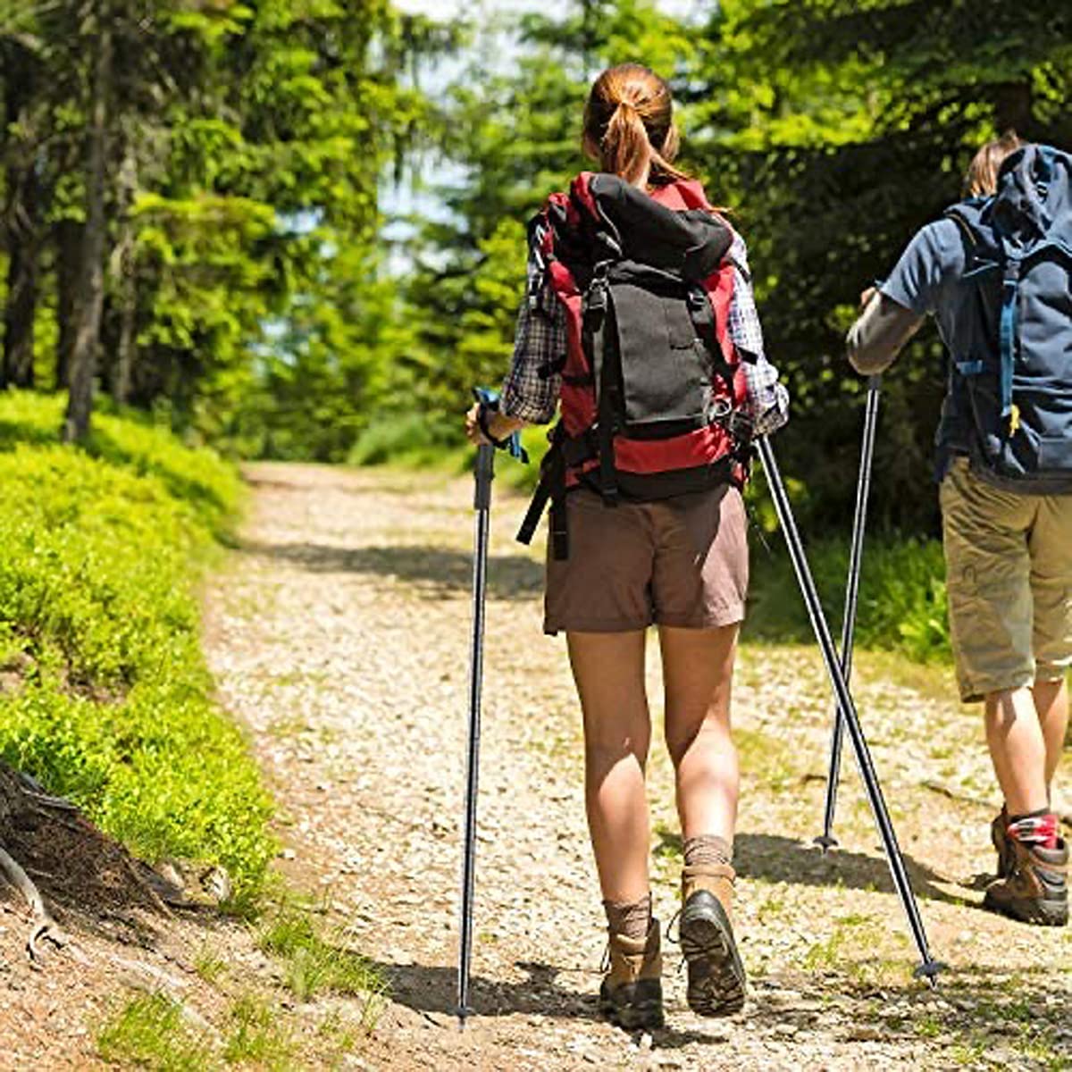 Walking Hiking pole