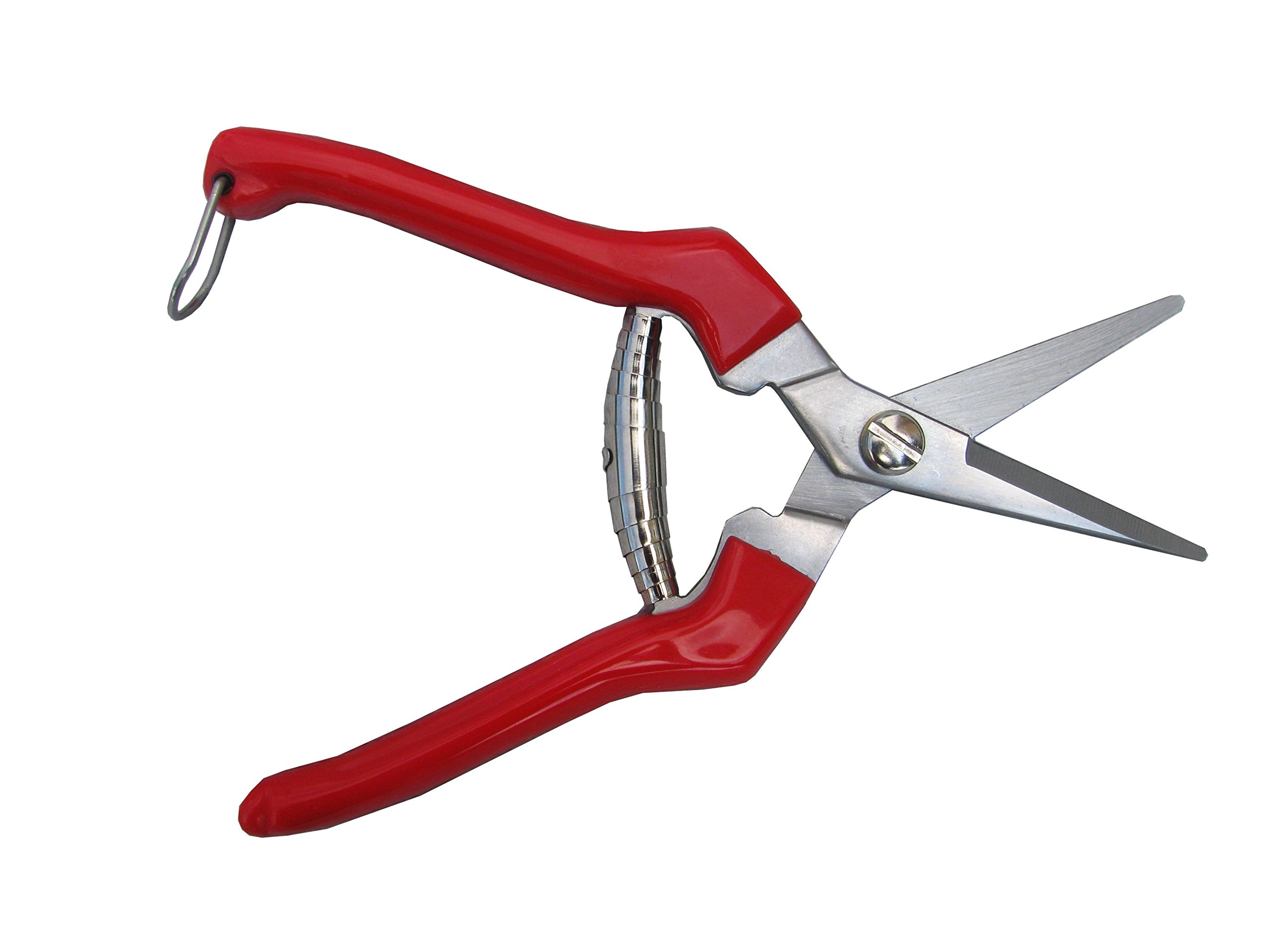 TABOR TOOLS K77A Straight Pruning Shears with Stainless Steel Blades, Florist Scissors, Multi-Tasking Garden Snips for Arranging Flowers, Trimming Plants, Harvesting Herbs, Fruits or Vegetables.