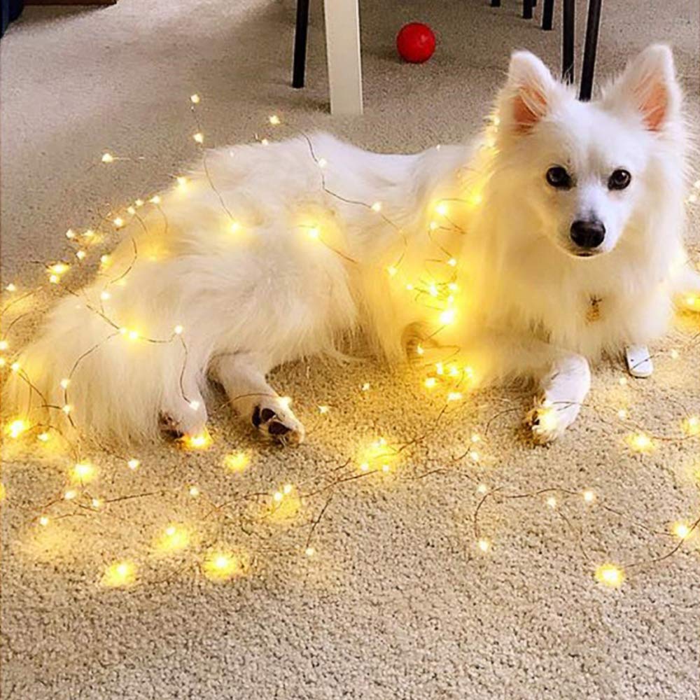 STARKER Outdoor String Lights, 2 Pack 16.4foot 50 LEDs Battery Operated String Lights Waterproof Silver Wire Twinkle Lights Decorative Fairy Lights with Remote and Timer